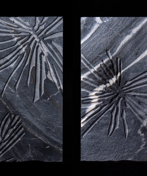 Xylem Tile | Luxury Natural Stone Artistic Textured Dimensional Tile | Borrowed Earth Collaborative