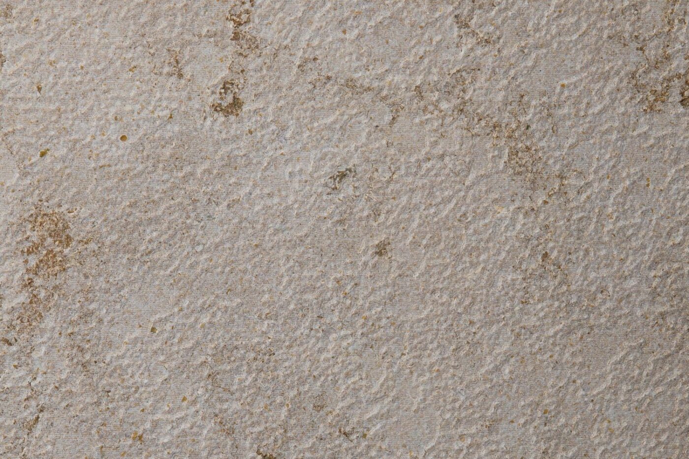 About | Borrowed Earth Collaborative